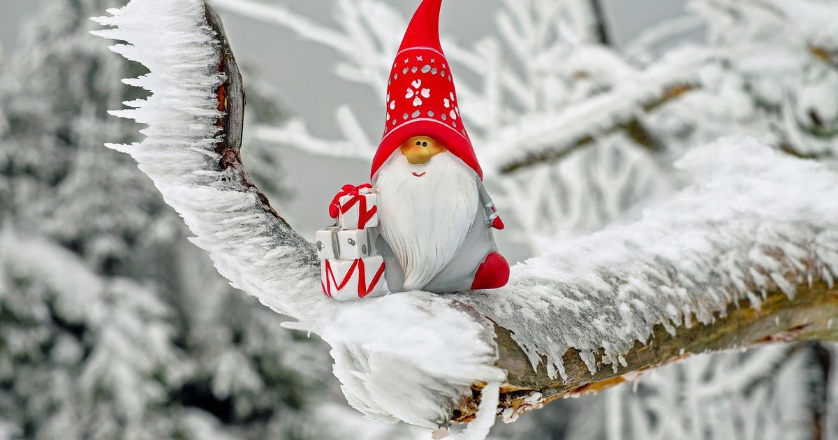 A gift for Christmas? - Hotel Polanica Resort & SPA